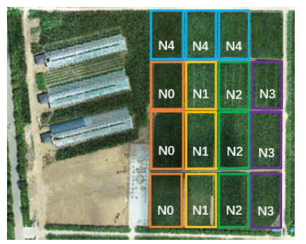 基于MPA-GA-ELM的无人机高光谱遥感的水稻冠层氮含量反演_高光谱成像仪_高光谱相机_高光谱成像系统解决方案-江苏双利合谱科技有限公司